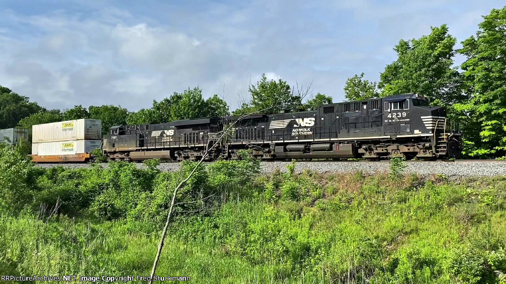 NS 4239 leads an intermodal west.